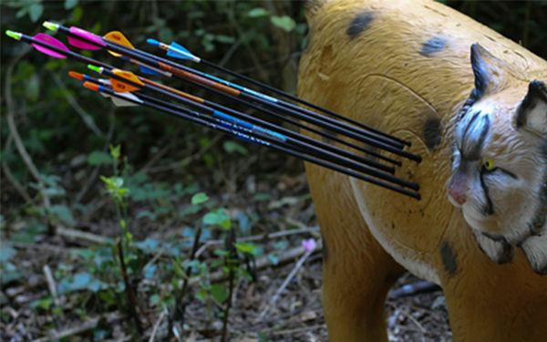 USA Archery Releases World Archery 3D Championships Team Selection ...